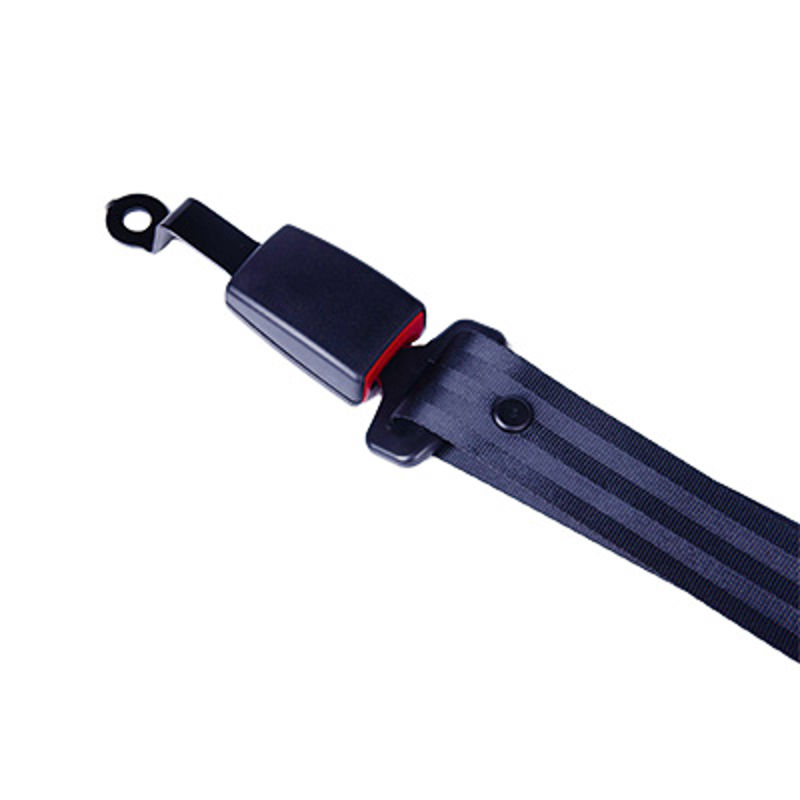 Camlock Driver Restraint Systems - TAIWAN BIKE RACK CO.,LTD